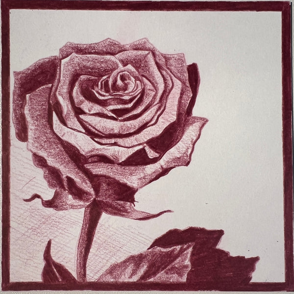 Red rose – KATE JARVIK BIRCH